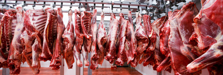 How Much Meat To Expect - When Processing Beef